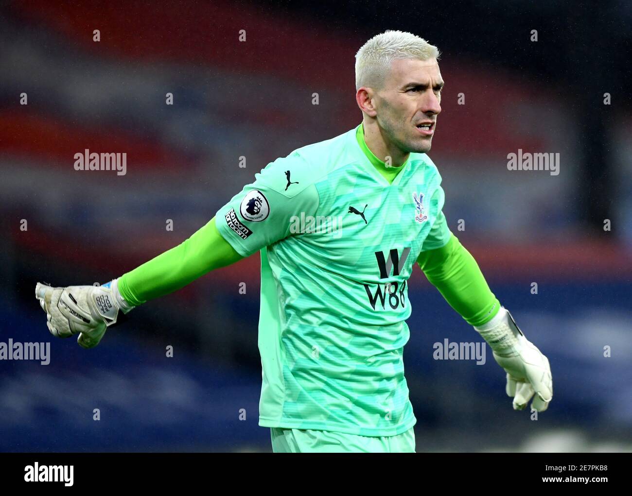 Crystal Palace goalkeeper Vicente Guaita during the Premier League ...