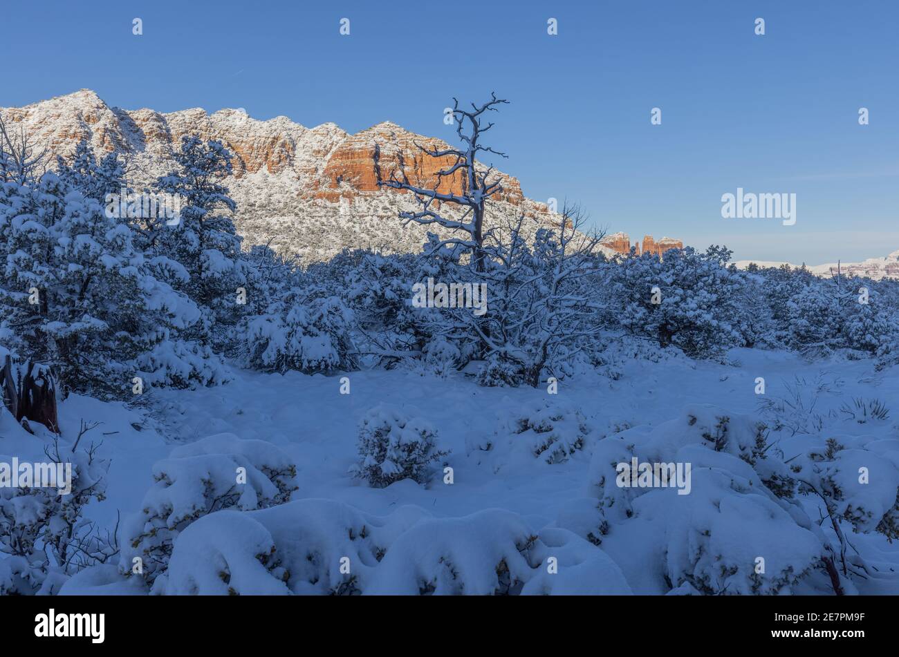 Scenic Winter Landscape in the Red Rocks of Sedona Arizona Stock Photo ...