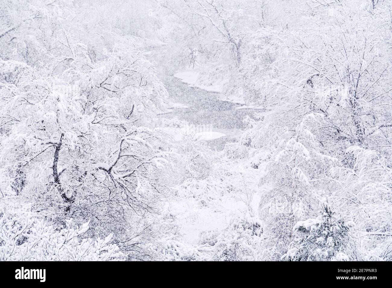 Heavy snowfall landing on Montpelier, VT, New England, USA Stock Photo ...