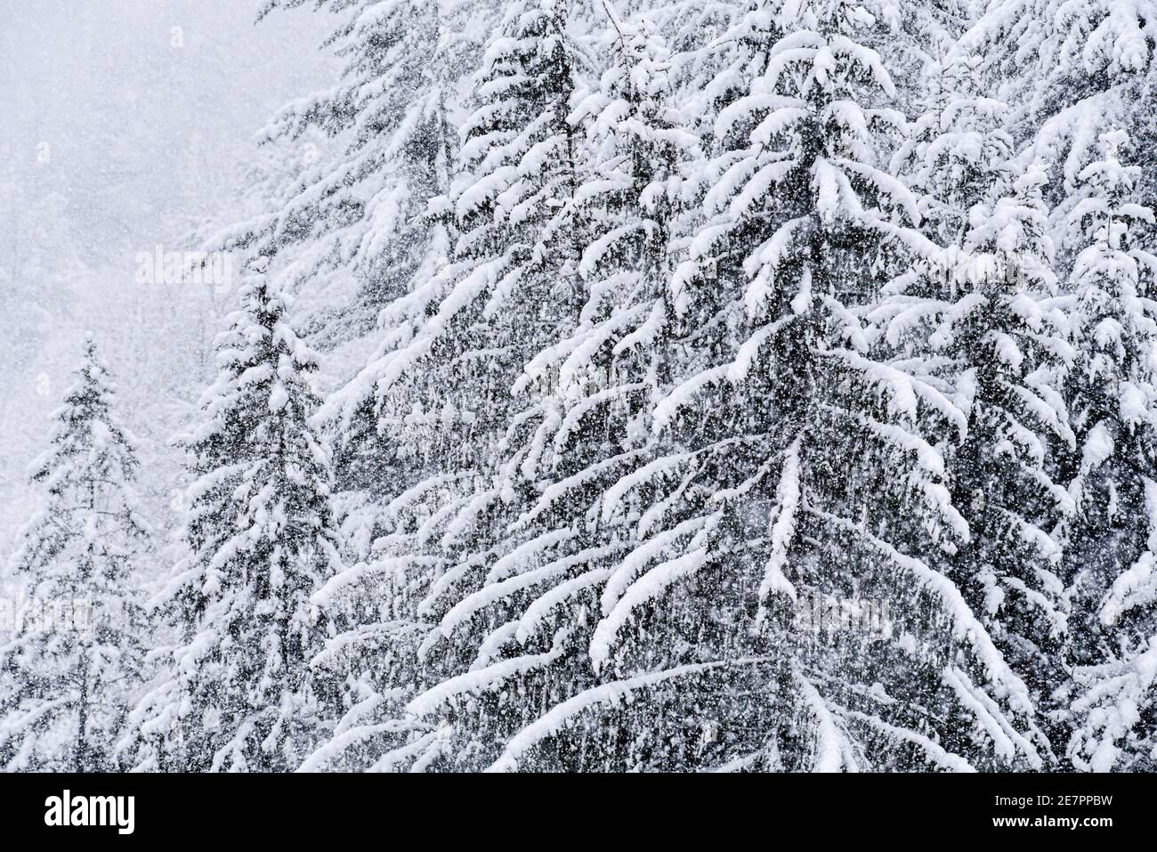 Landing at snowfall hi-res stock photography and images - Alamy