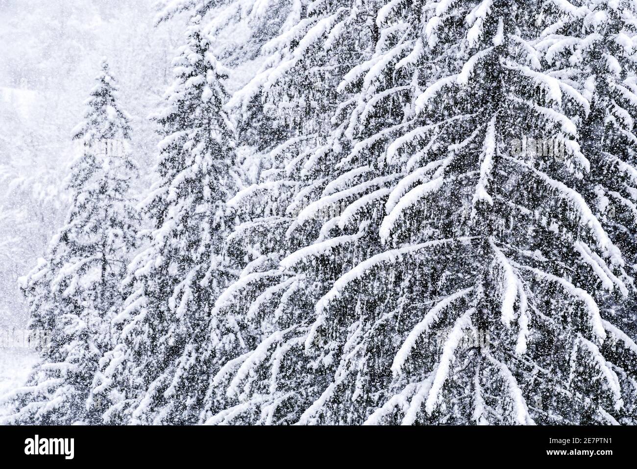 Landing at snowfall hi-res stock photography and images - Alamy