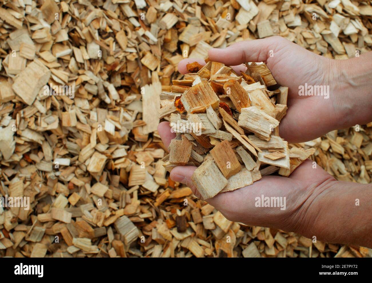 Pulp and paper mill maine hi-res stock photography and images - Alamy