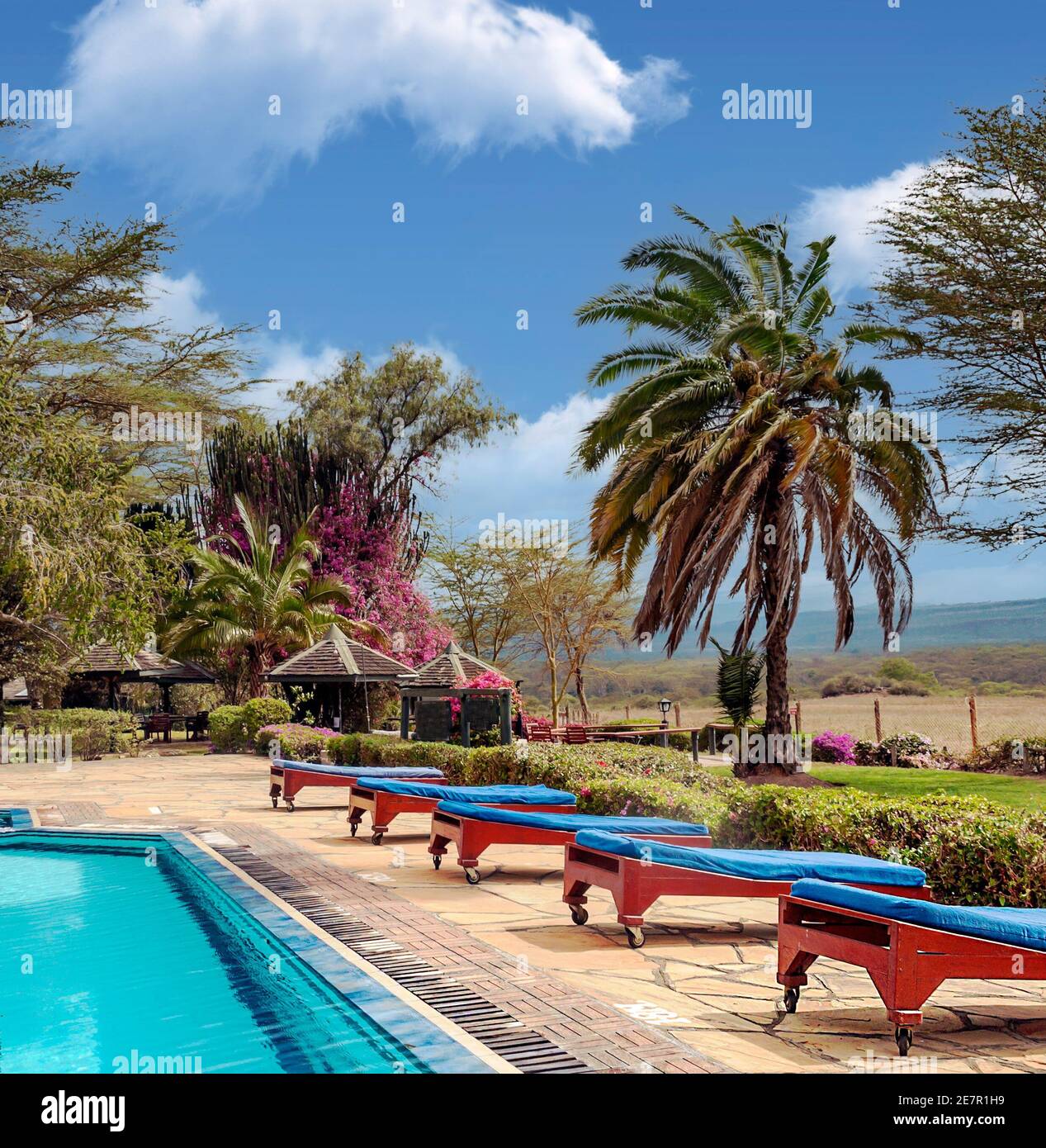 Kenya swimming pool safari holiday hi-res stock photography and images ...