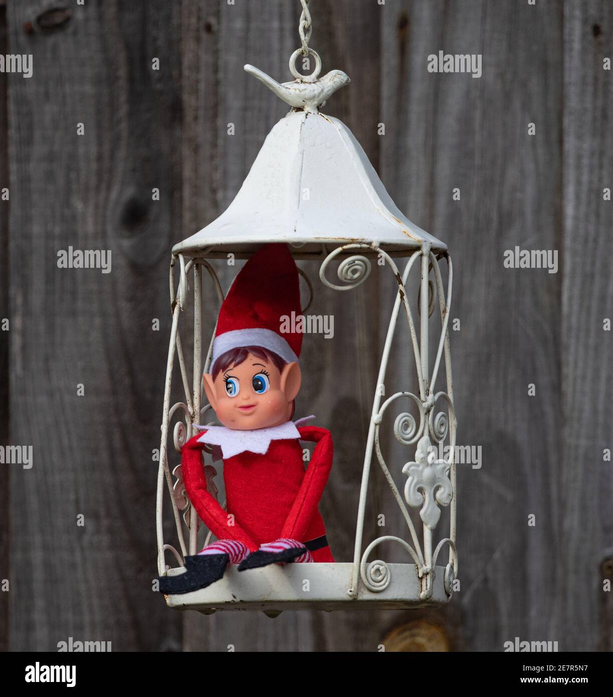 Elf lamp hi-res stock photography and images - Alamy