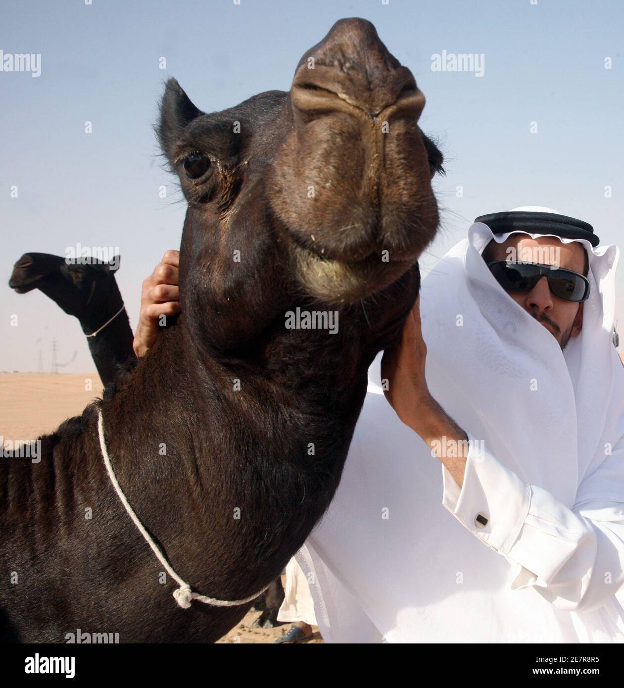 Shaqra saudi arabia hi-res stock photography and images - Alamy