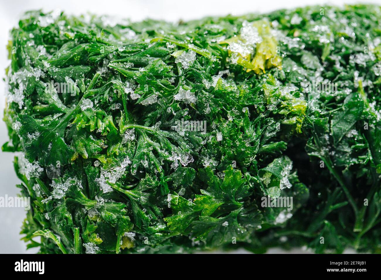Close up image of frozen parsley green briquette covered with tiny ice ...
