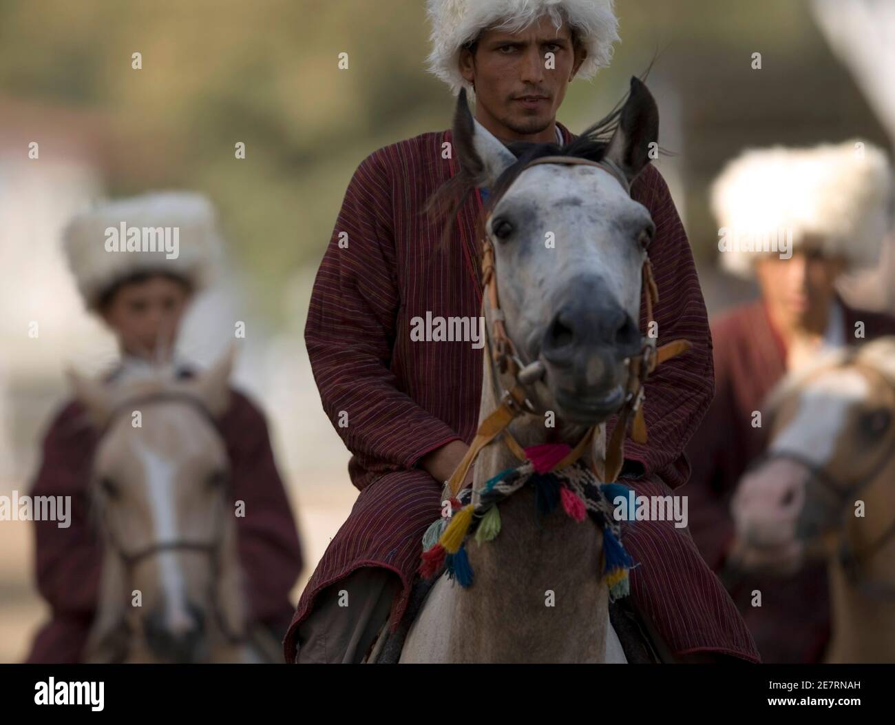 Traditional breeds hi-res stock photography and images - Alamy