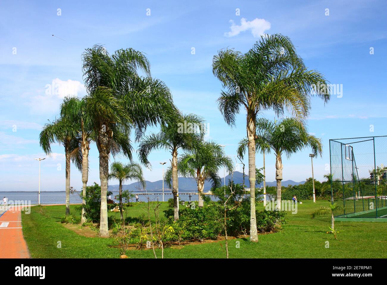 Pelo sol hi-res stock photography and images - Alamy