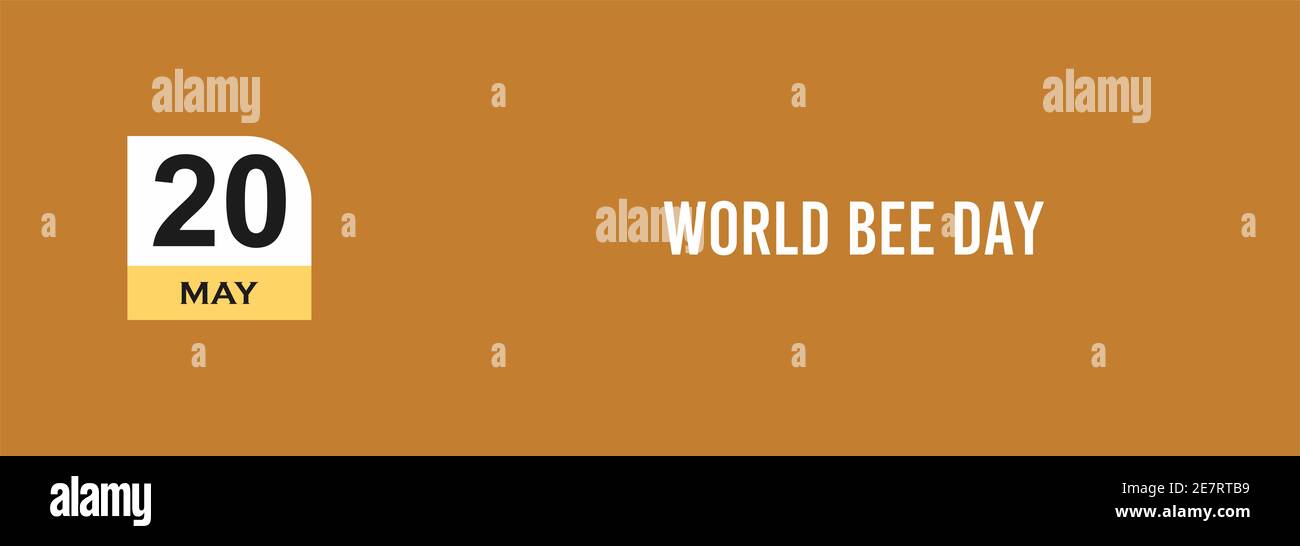 20 May World Bee Day Text Design Illustration. International Day event ...