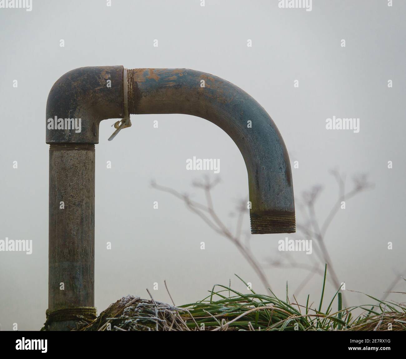 through the mist a characterful and colourful 2" waterpipe rising up ...