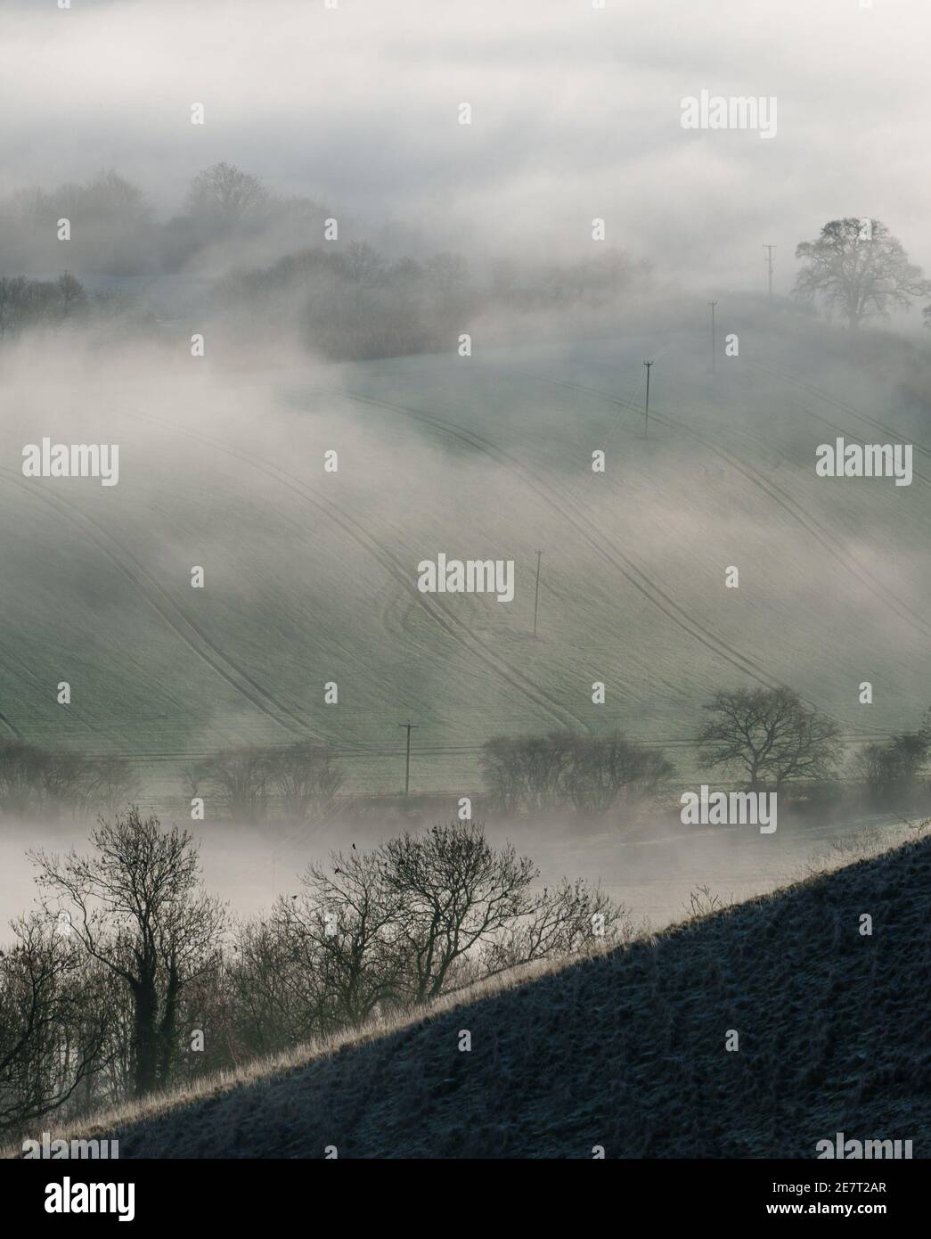 Mist rising from forest hi-res stock photography and images - Alamy