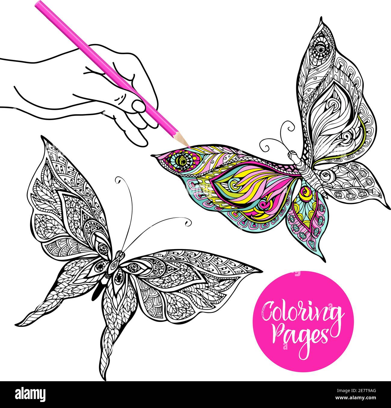 Human hand coloring decorative butterfly with colored pencil vector ...