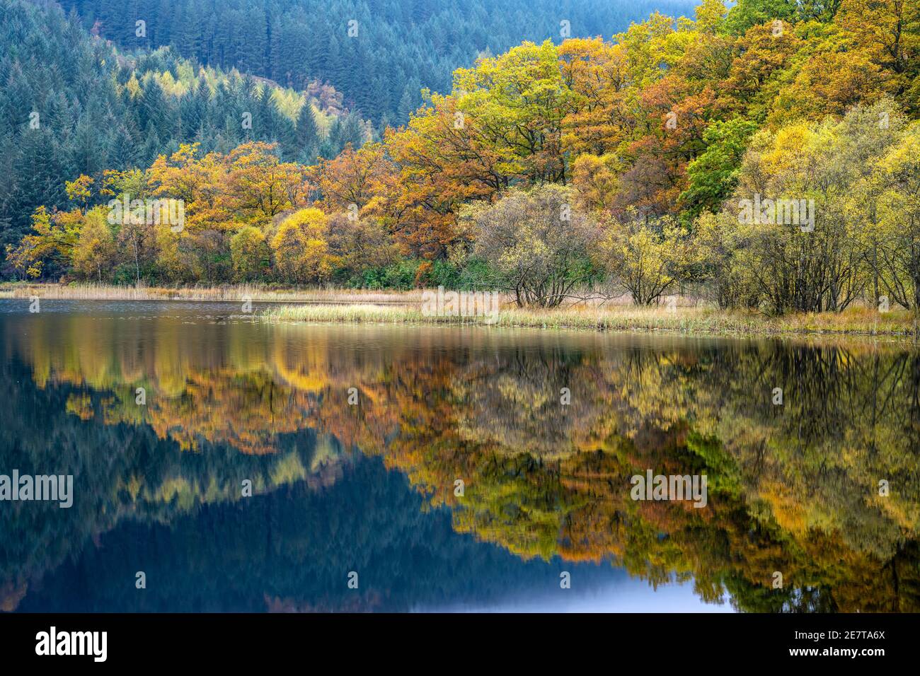 Colourful autumn reflections on Loch Chon in the Trossachs, Scotland ...