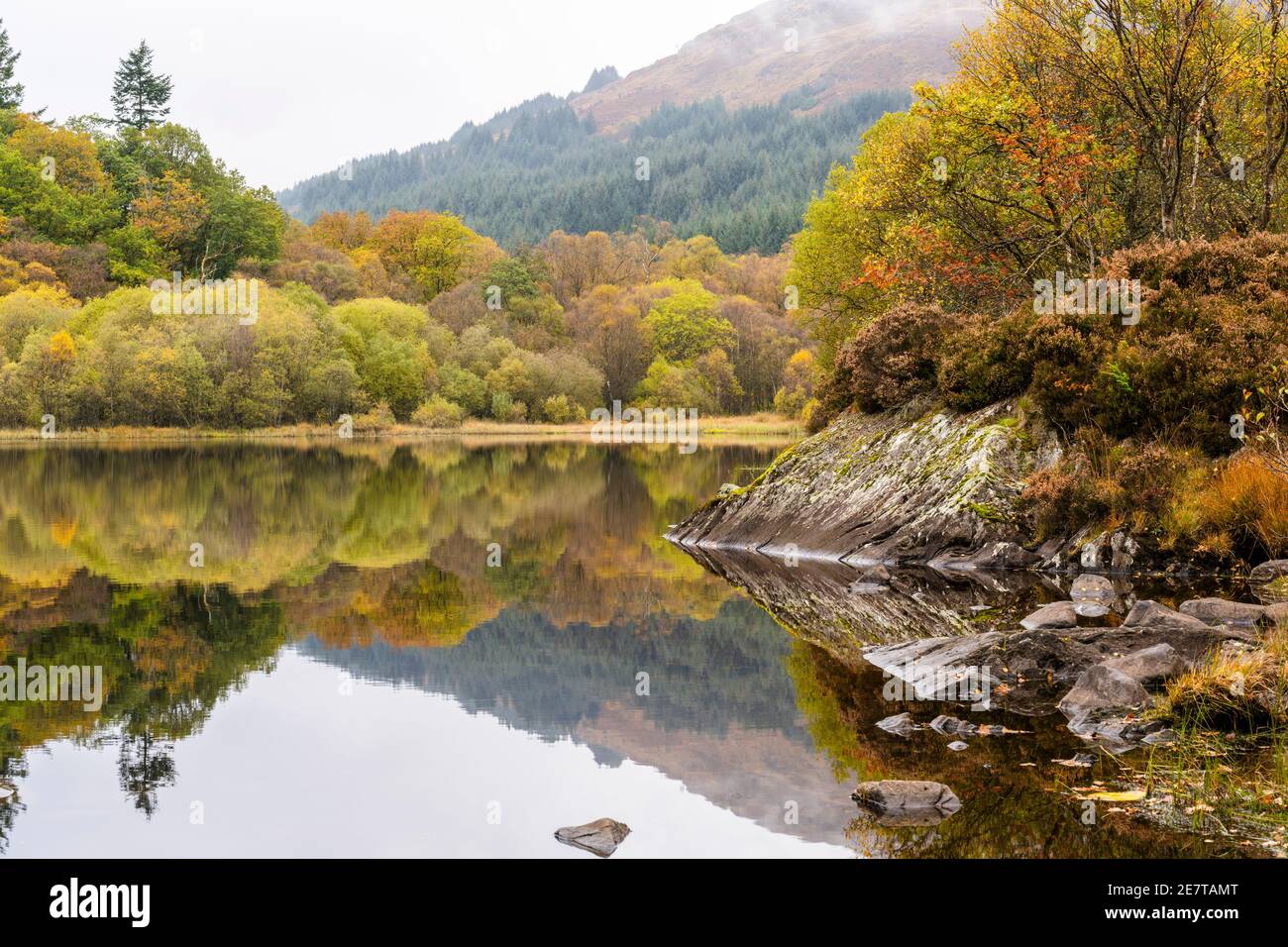 Autumn reflections on Loch Chon in the Trossachs, Scotland, UK Stock ...