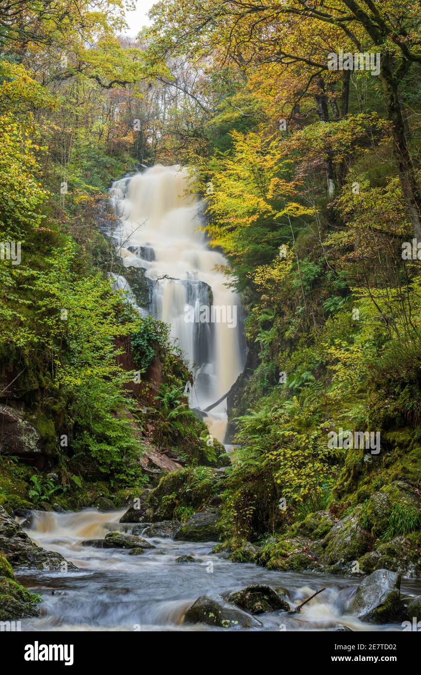 Queen Elizabeth Park Waterfall