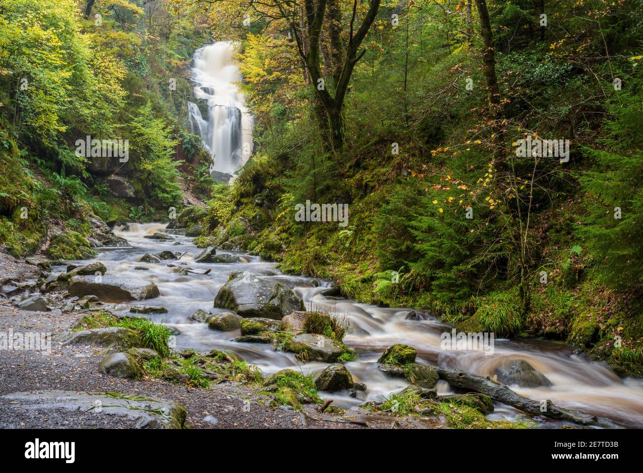 Queen elizabeth forest park waterfall hi-res stock photography and ...