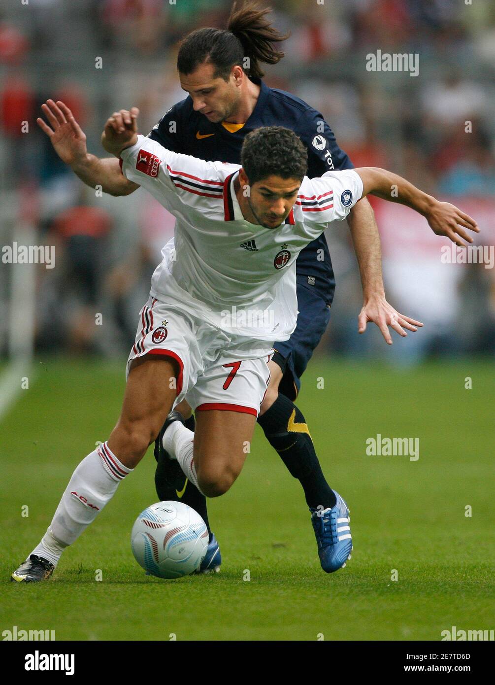 Pato pato marino hi-res stock photography and images - Alamy