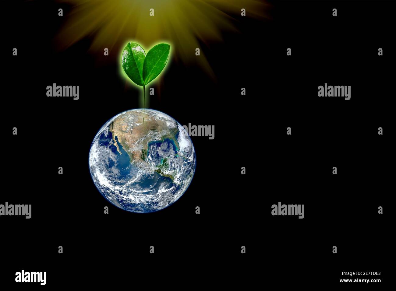 Planting tree in Planet Earth. World save environment conservation ...