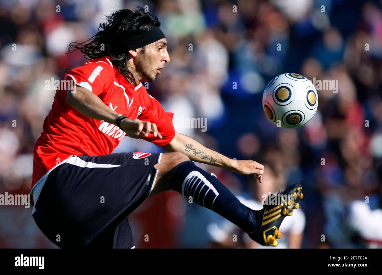 Silvera High Resolution Stock Photography and Images - Alamy