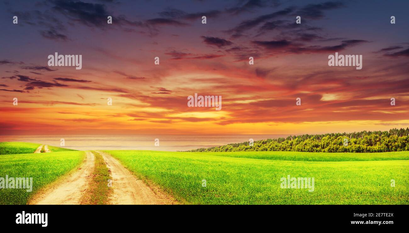 Road through green grass field to the sea. Summer sunset landscape ...