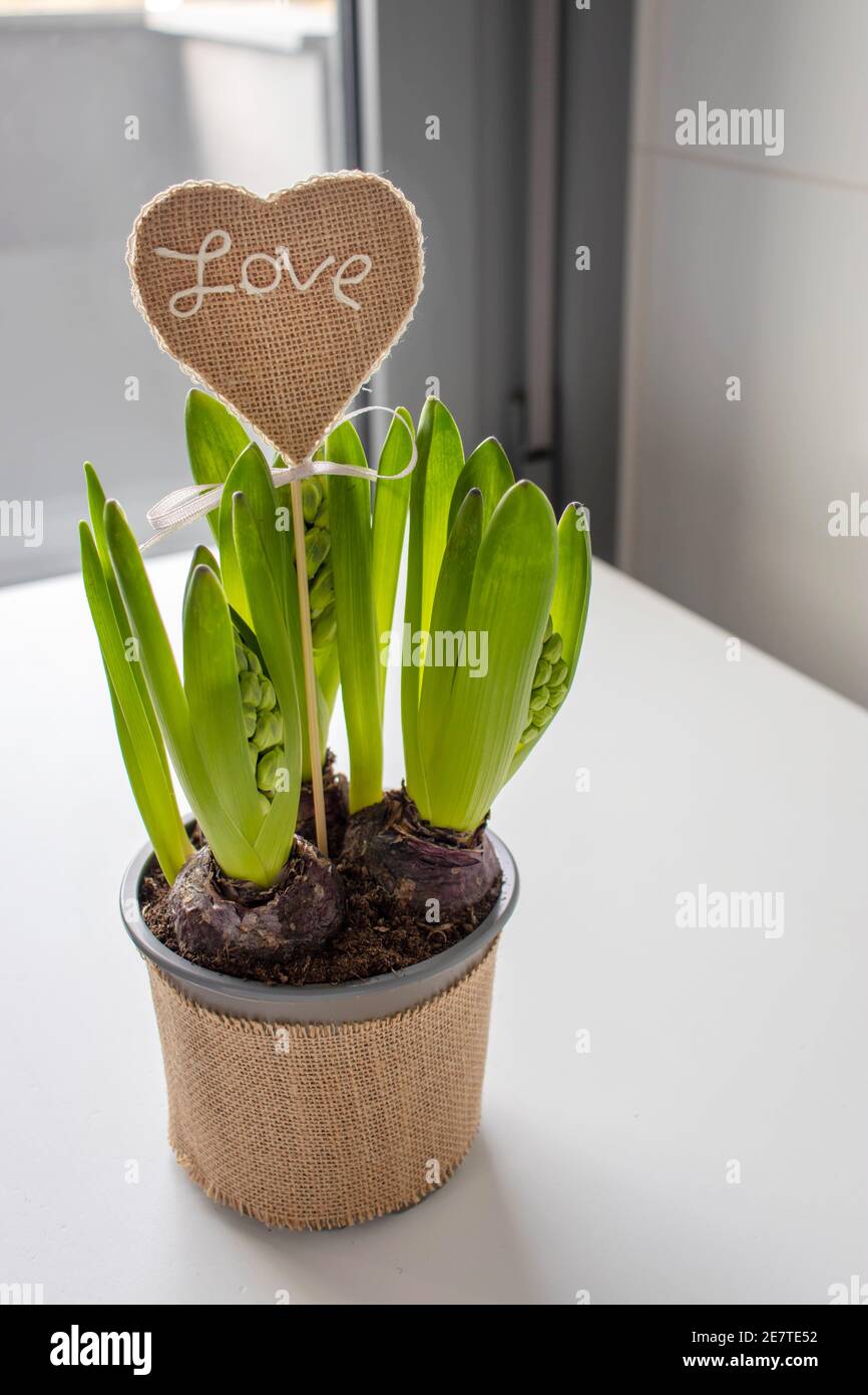 Card for valentine's day message hi-res stock photography and images ...