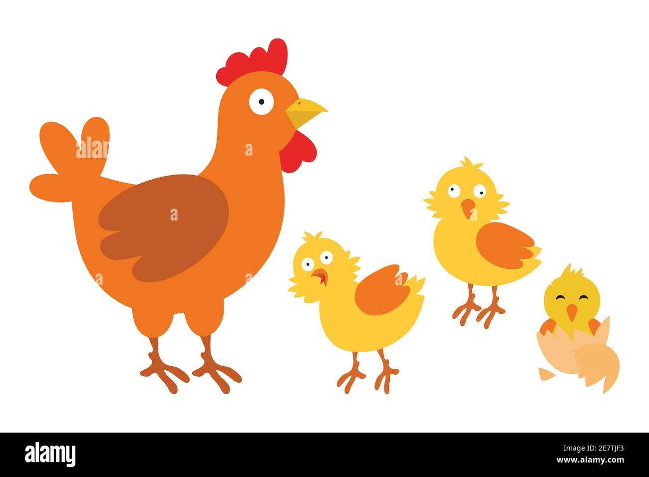Mother hen with chicks. Hen and chickens. Vector illustration isolated ...