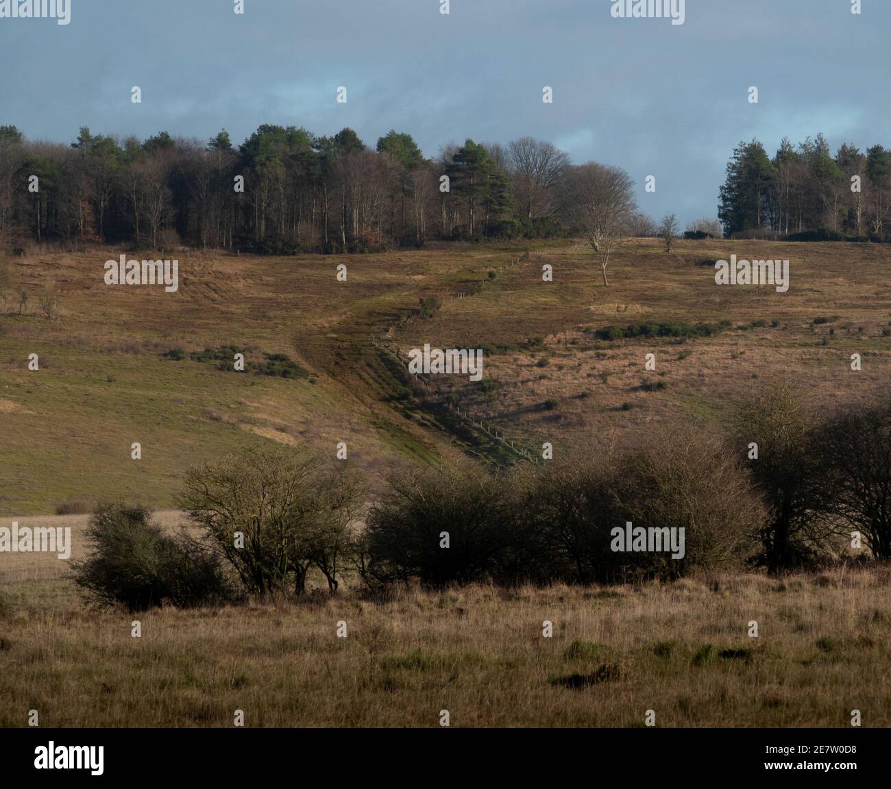 pathway up Sidbury hill, Tidworth, Wiltshire, treeline Stock Photo - Alamy