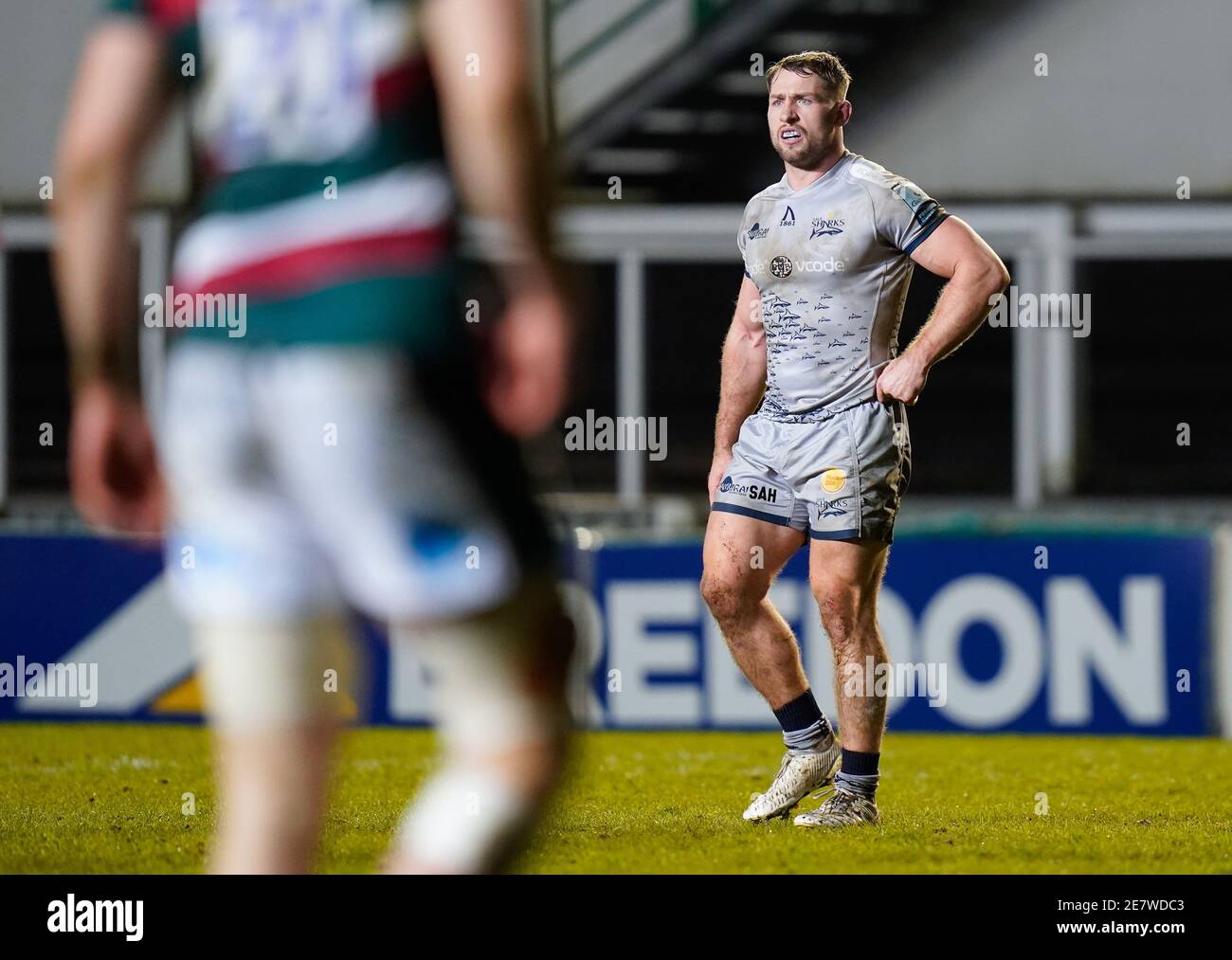 Steve hill rugby hi-res stock photography and images - Alamy