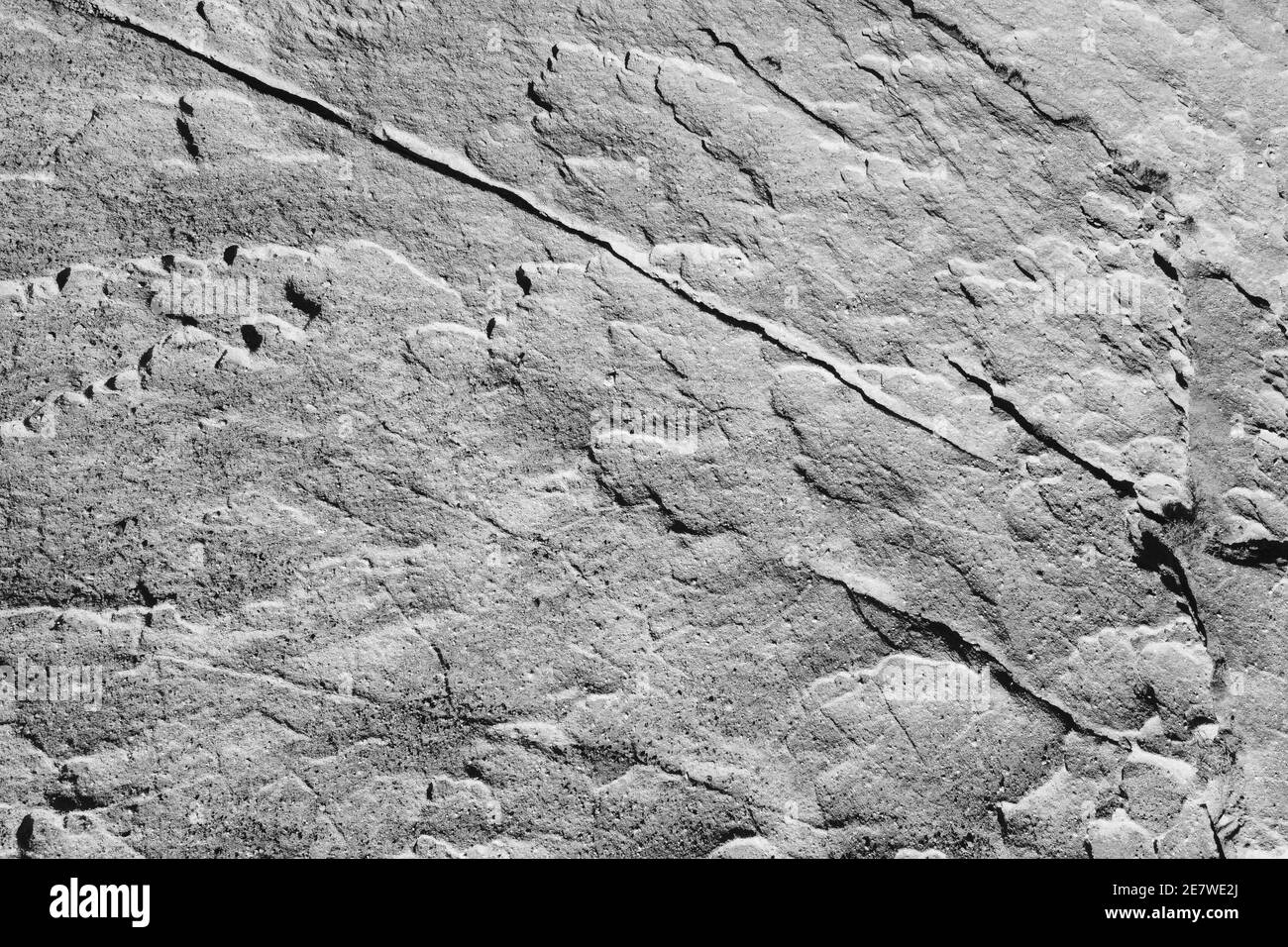 Top view dry white Black and White Stock Photos & Images - Alamy