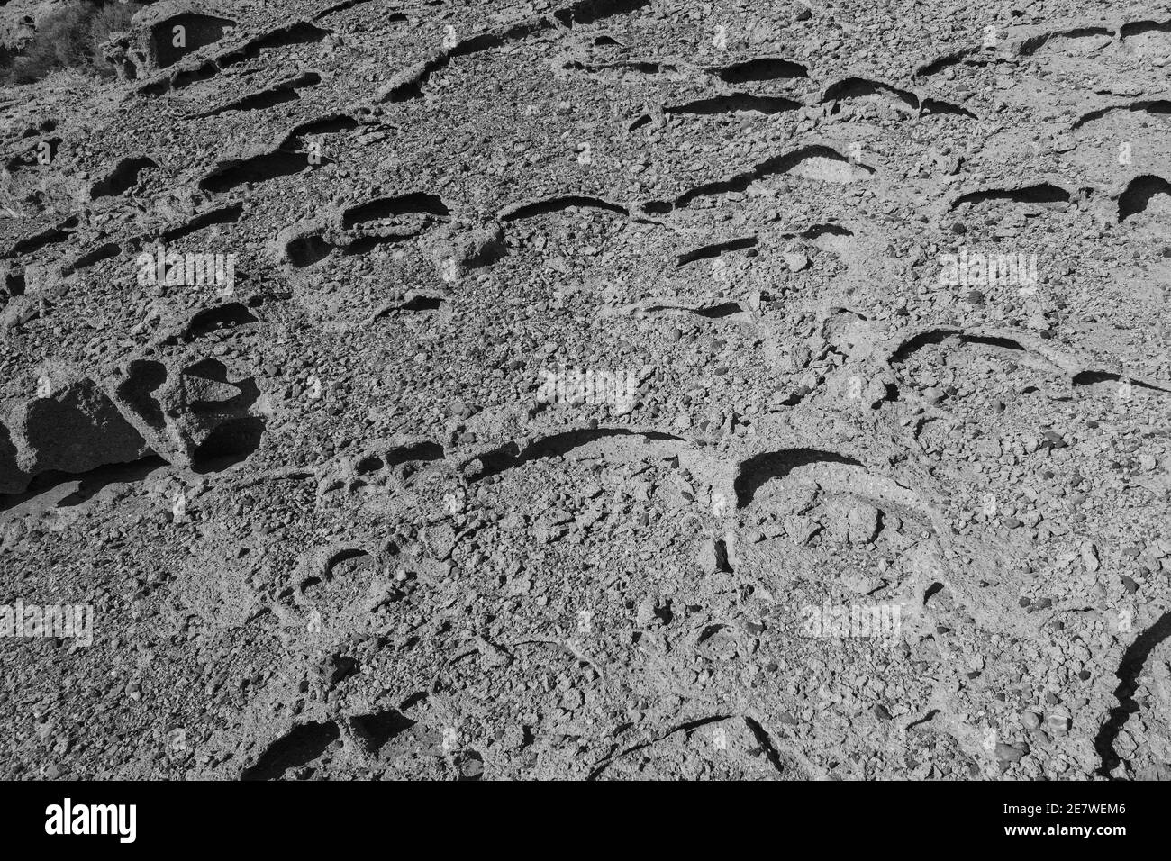 Footsteps in mud hi-res stock photography and images - Alamy