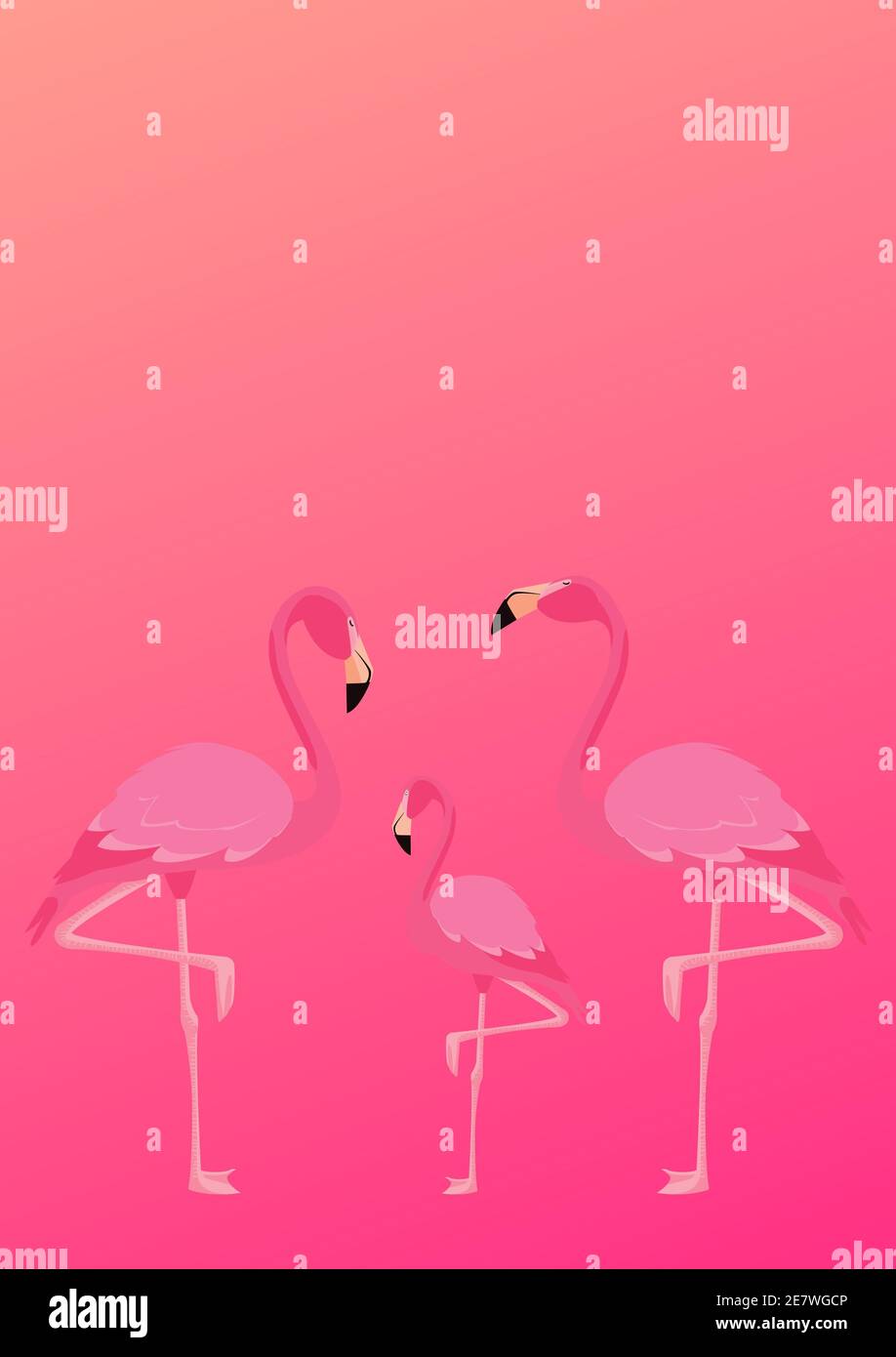 Vertical illustration of beautiful three flamingos on pink background ...