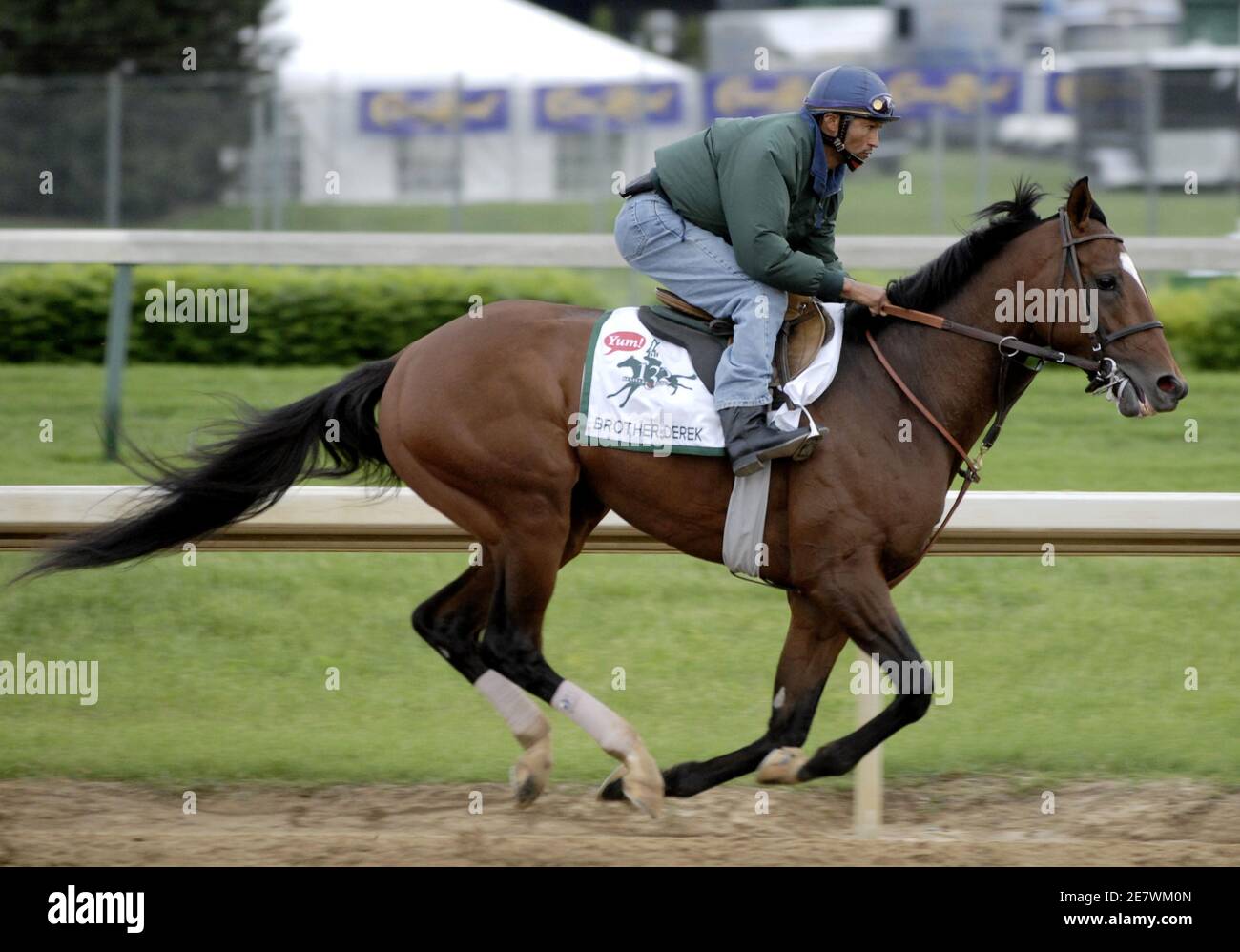 John derek horse hi-res stock photography and images - Alamy