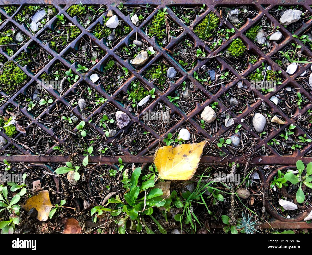 Mud scraper hi-res stock photography and images - Alamy