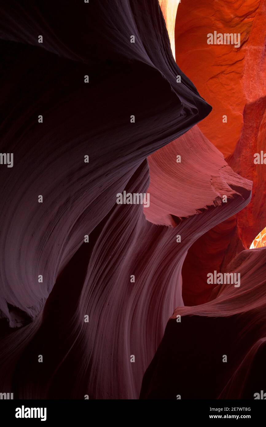 Shades of Antelope Stock Photo - Alamy