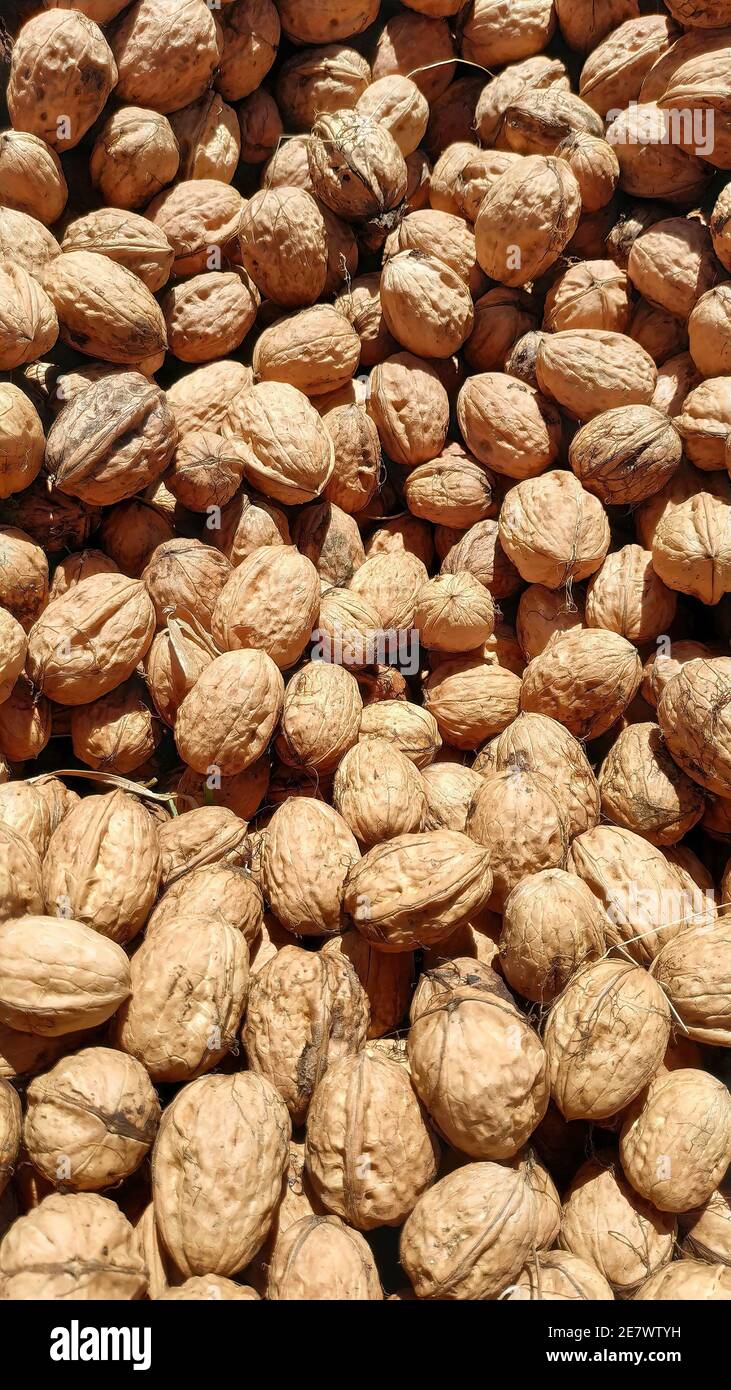 Pile of walnuts under the sunlight Stock Photo - Alamy