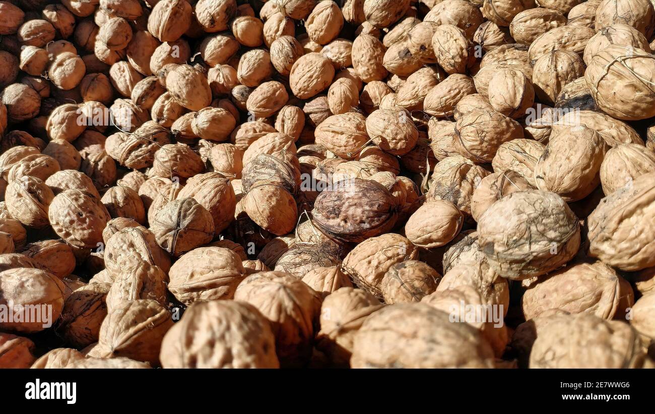 Pile of walnuts under the sunlight Stock Photo - Alamy