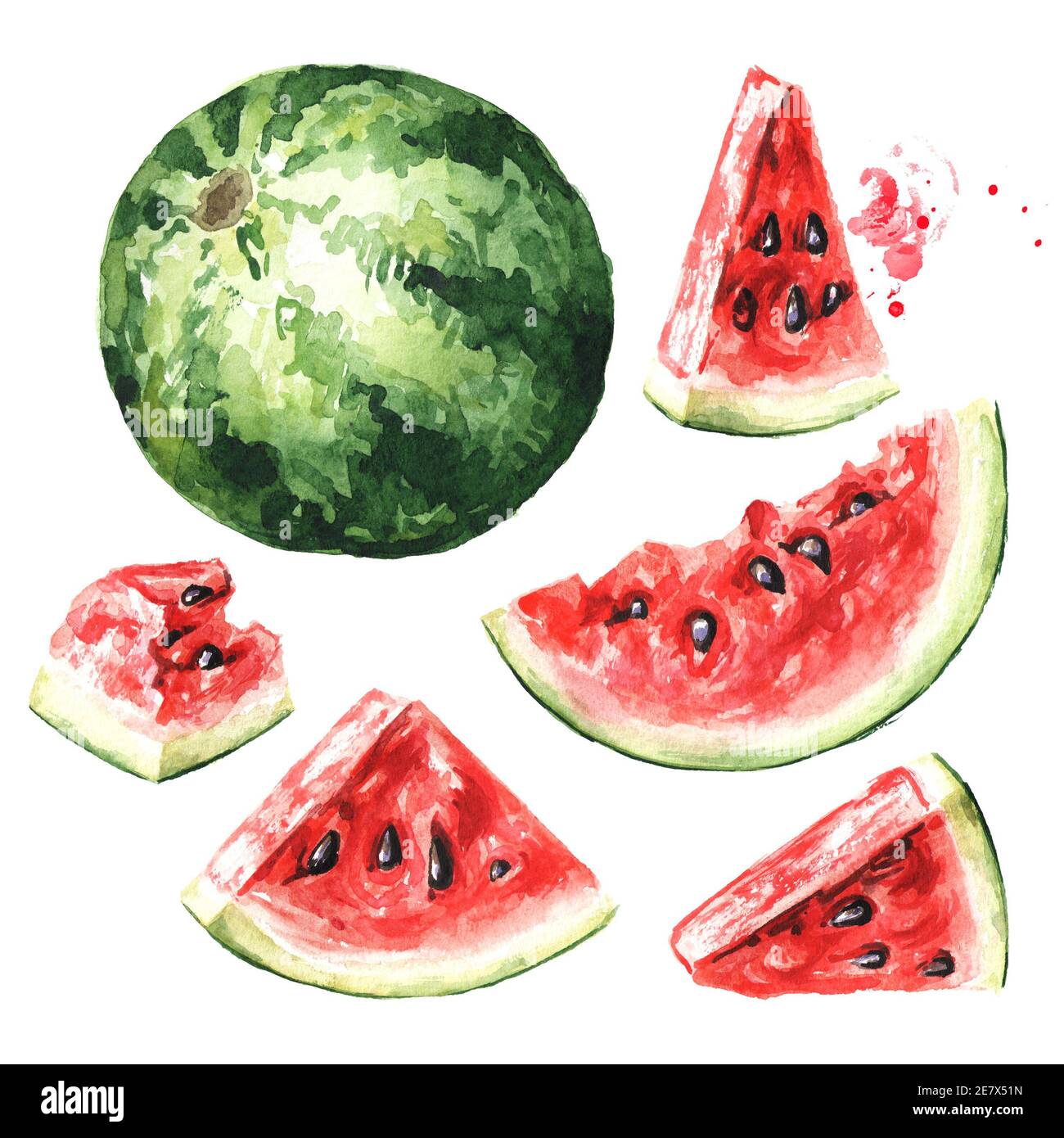 Ripe red watermelon set. Watercolor hand drawn illustration, isolated ...