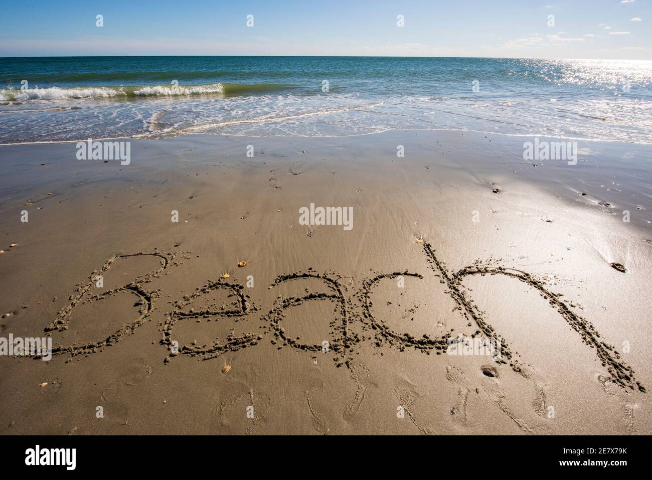 Funny ocean hi-res stock photography and images - Alamy