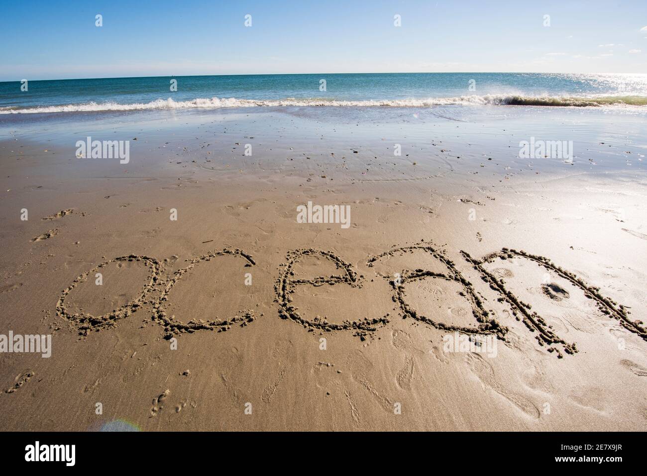 Funny ocean hi-res stock photography and images - Alamy