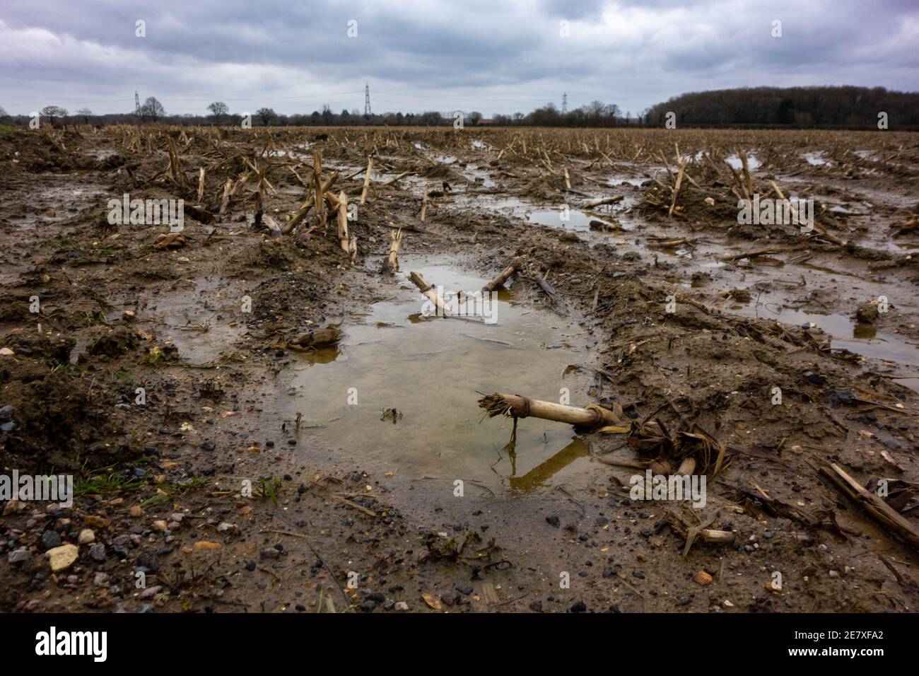 Muddy winter field hi-res stock photography and images - Alamy