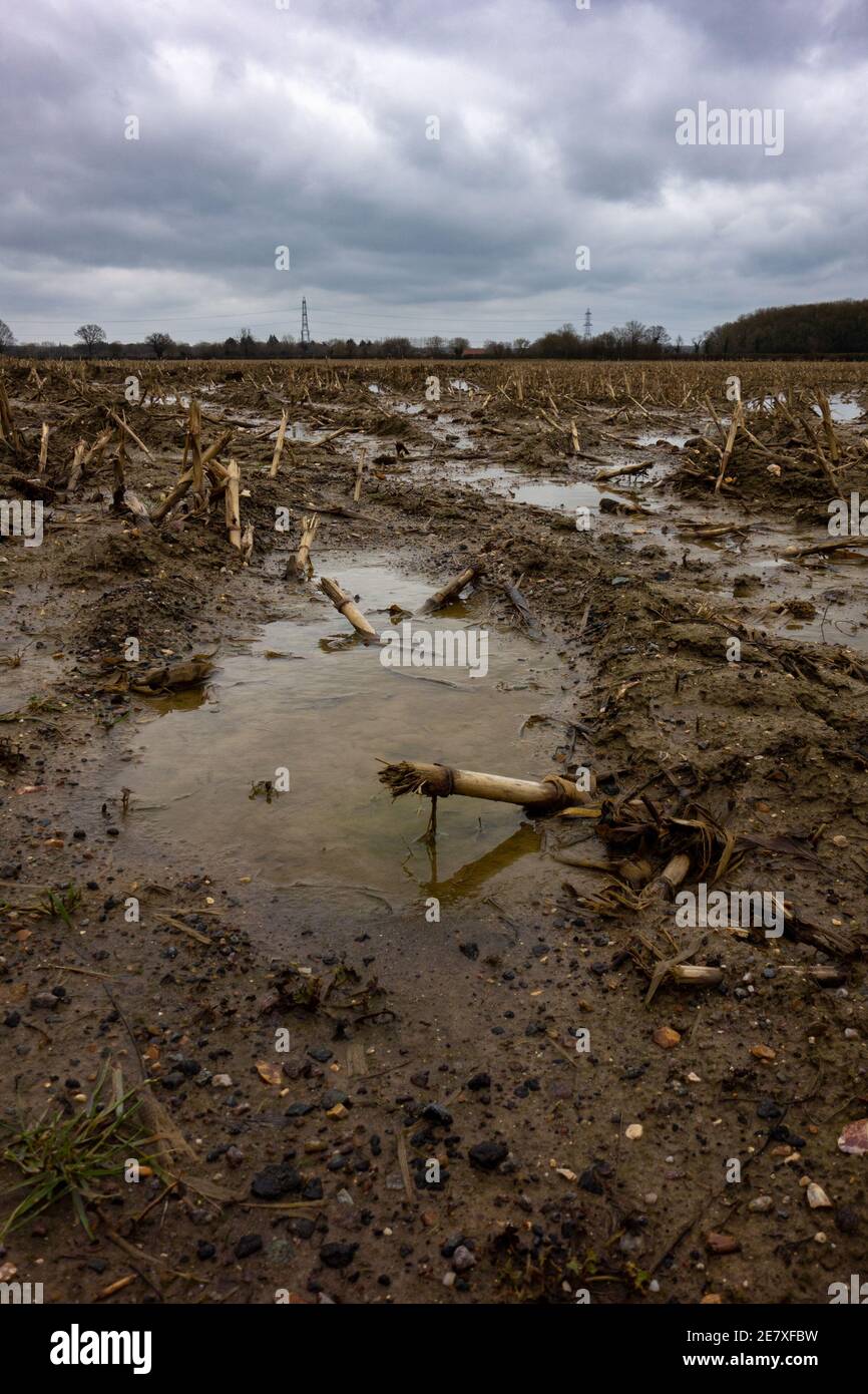 Muddy winter field hi-res stock photography and images - Alamy