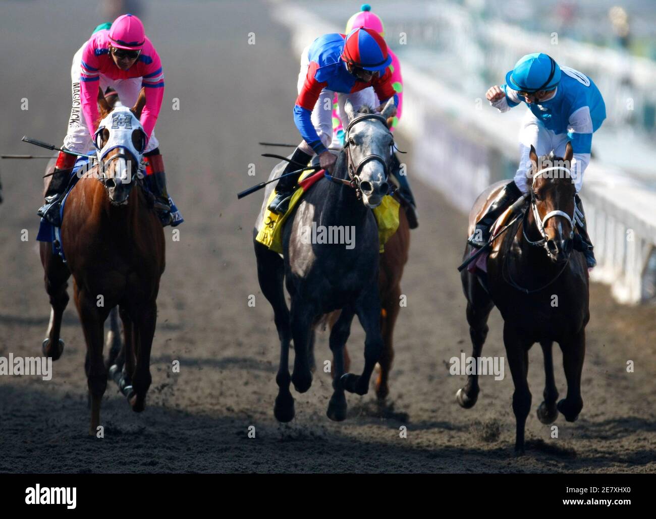 Goose harness hi-res stock photography and images - Alamy