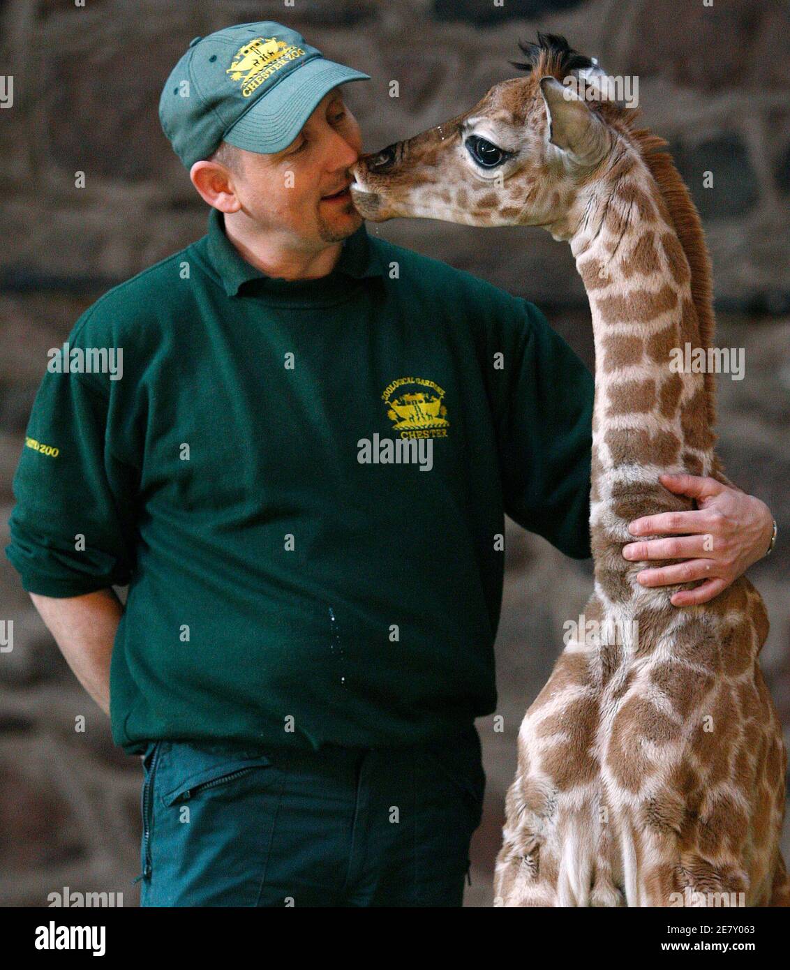 Giraffe Feet High Resolution Stock Photography and Images - Alamy