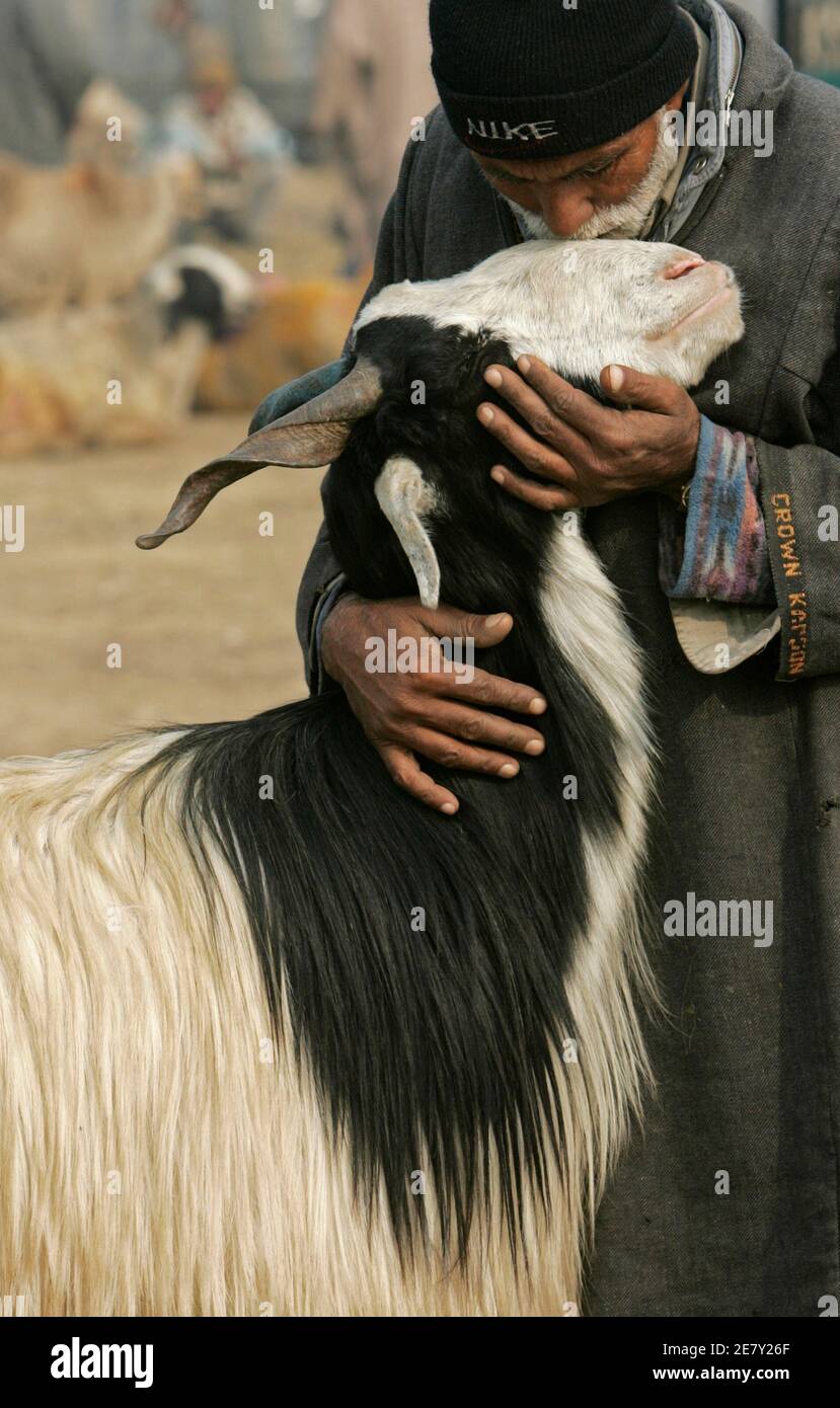 Goat kiss hi-res stock photography and images - Alamy