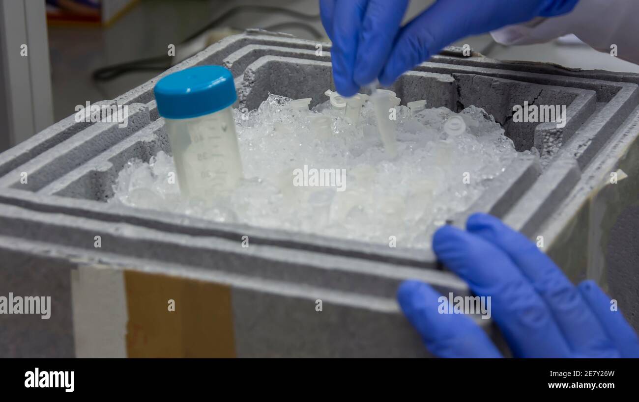 Falcone tubes hi-res stock photography and images - Alamy