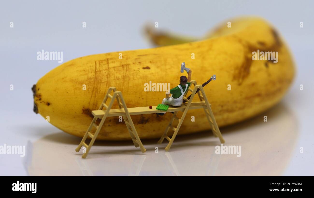Is your banana yellow enough? Call in the decorators Stock Photo - Alamy
