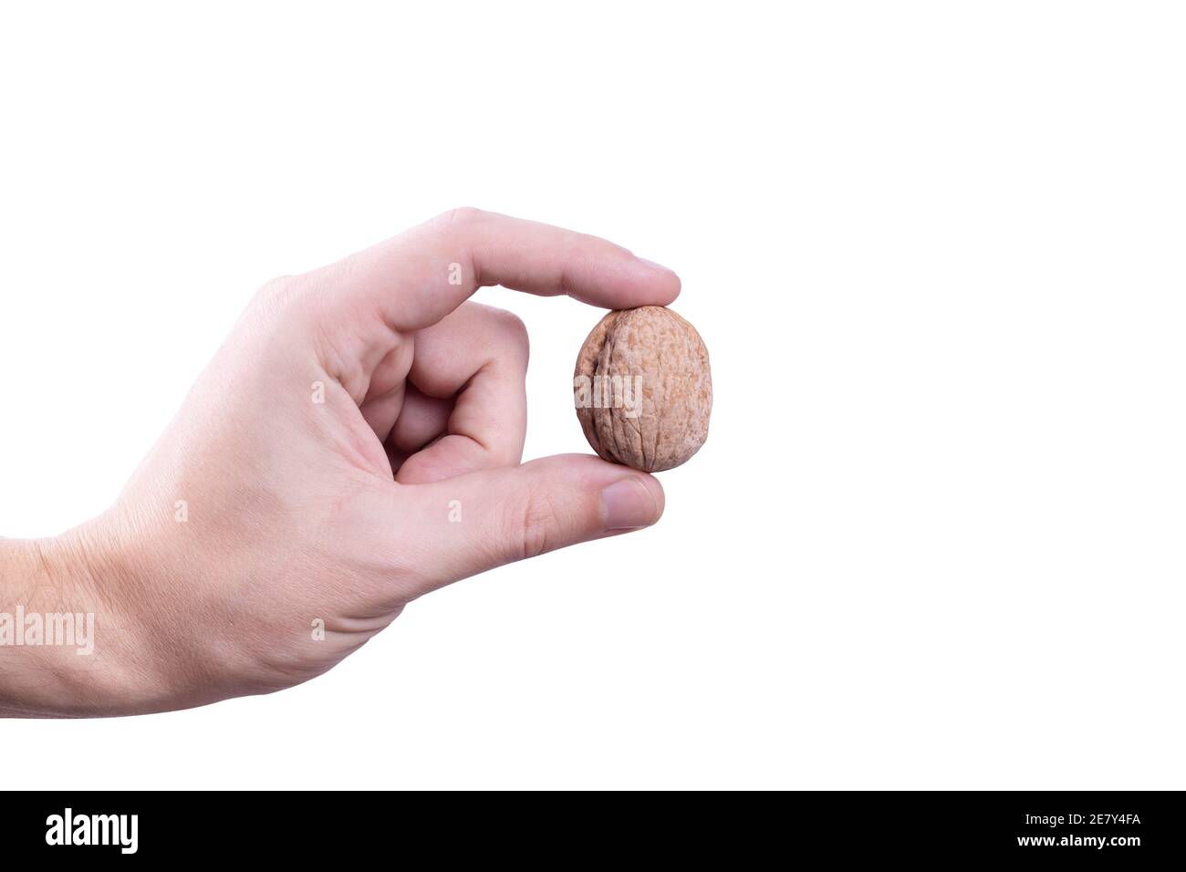 dry walnut in the hand isolated on white background Stock Photo - Alamy