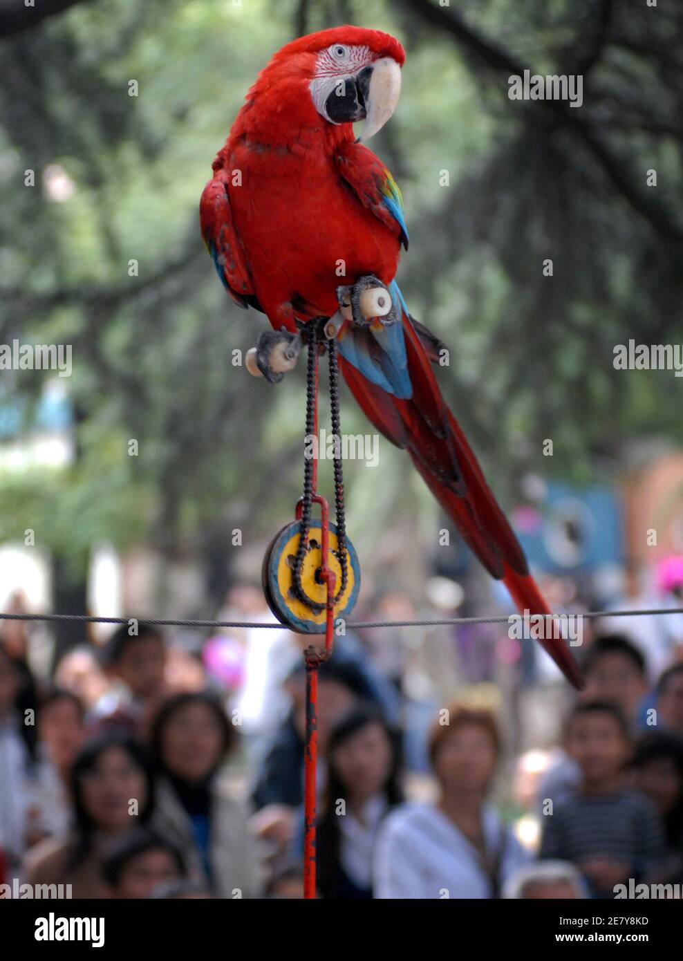 Unicycle chinese hi-res stock photography and images - Alamy