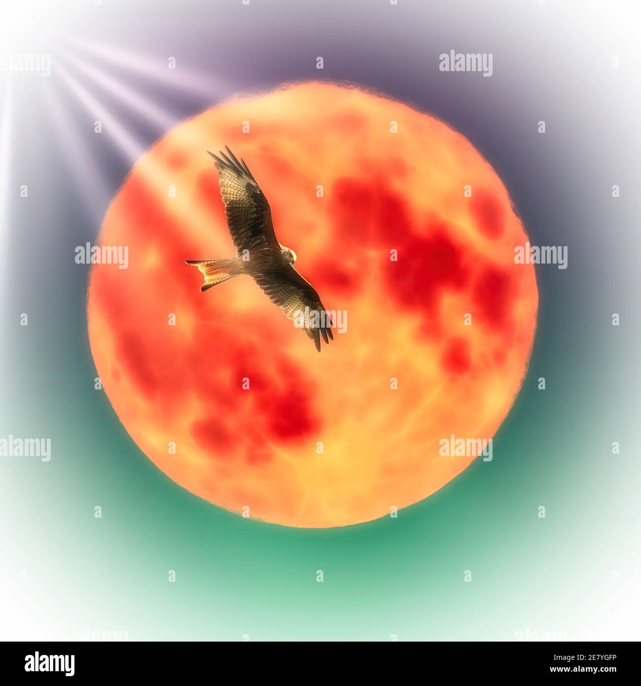 Buzzard in front of the moon abstract art Stock Photo - Alamy