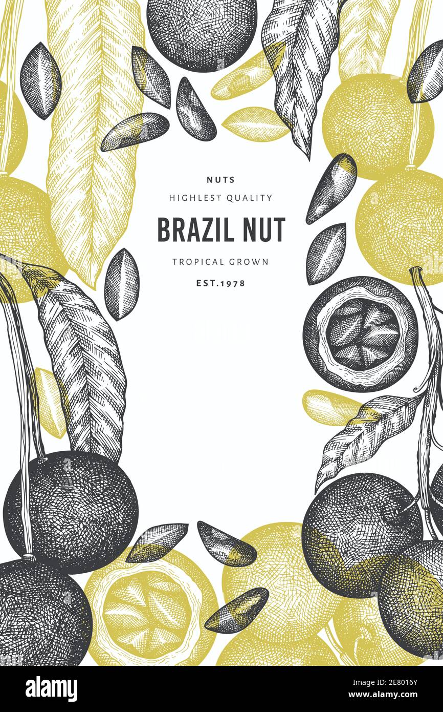 Brazilian nut tree Stock Vector Images - Alamy
